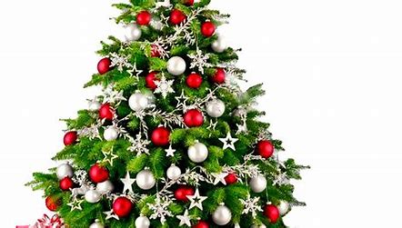 Voyance Angel Pandora – Posez vos questions